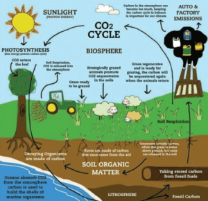 Agricultural Carbon Credits and Carbon Farming Guide