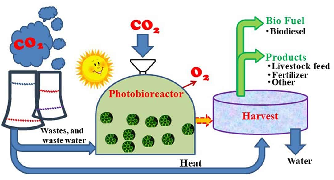 Plastics From Carbon Emissions and Potential Carbon Credits