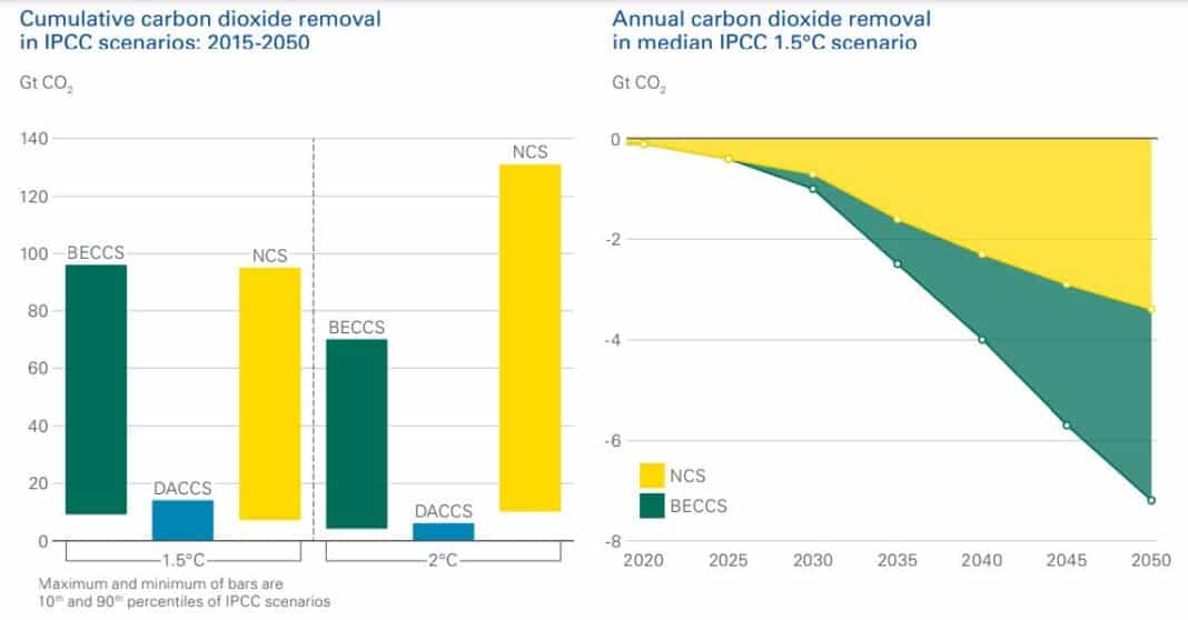 Carbon Dioxide Removal (CDR) and Carbon Capture and Storage (CCS): A Primer
