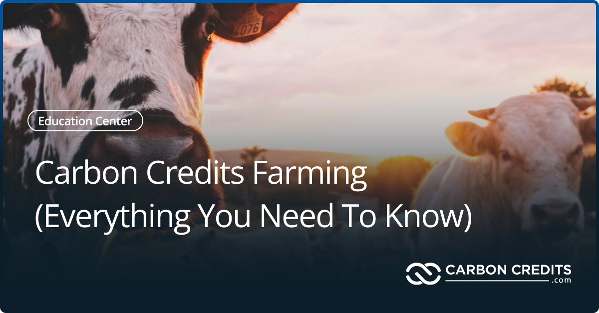 Carbon Credits Farming (Everything You Need To Know)
