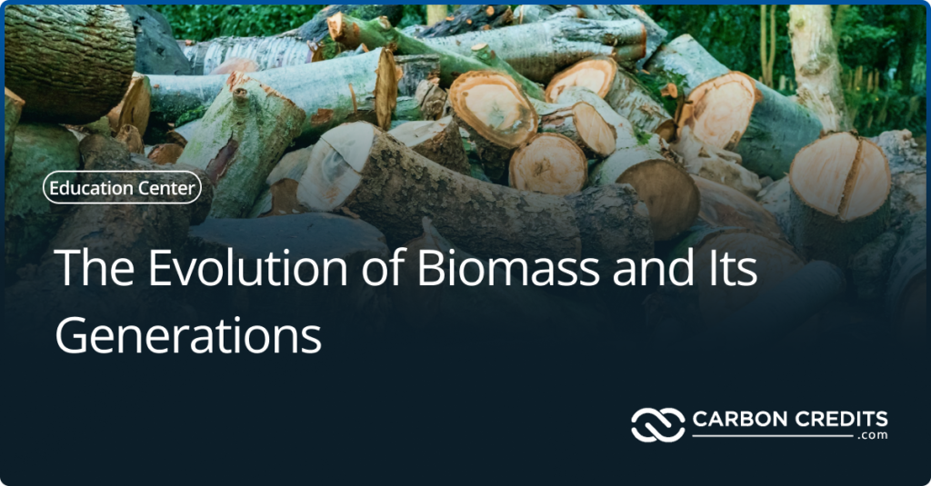The Evolution of Biomass and Its Generations