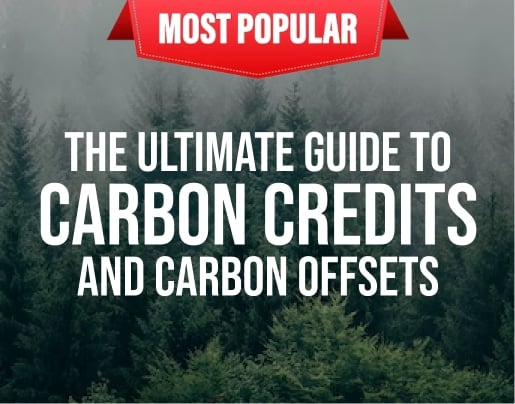 CarbonCredits.com - Your Source For Carbon Credit News & Opportunities