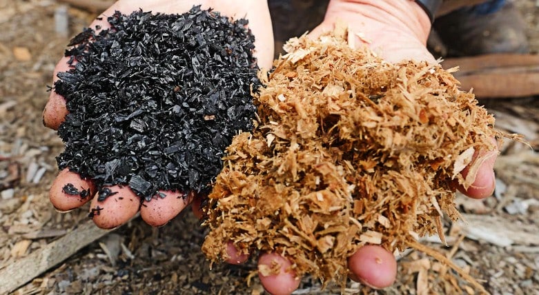 The Ultimate Guide to Biochar: The "Black Gold" Fueling Durable Carbon ...
