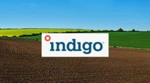 Indigo's $250M Raise Boosts Agricultural Carbon Credits Generation