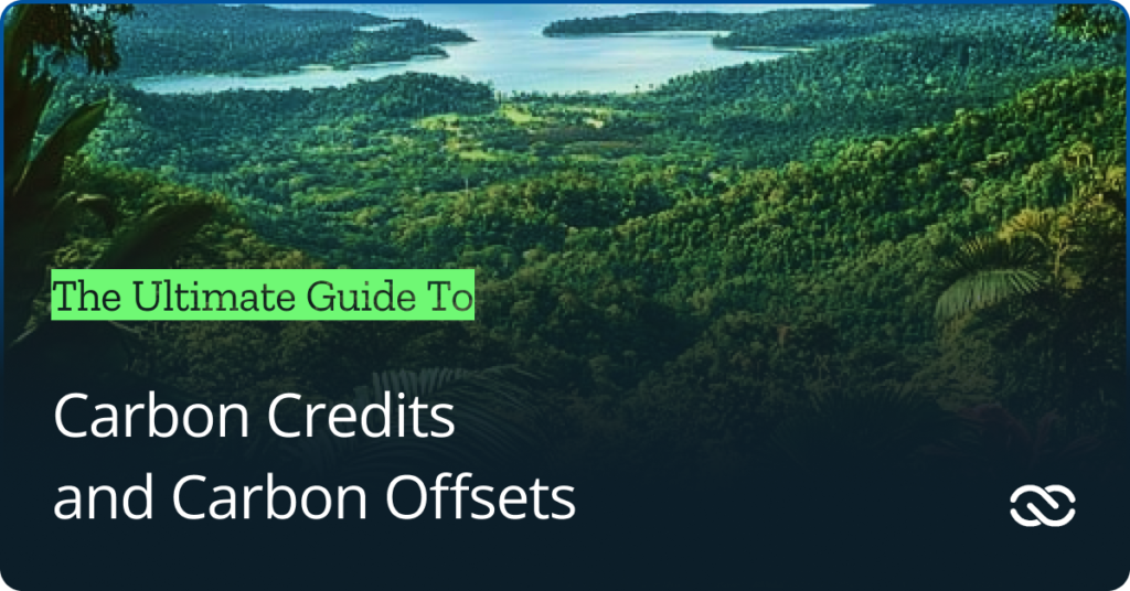 The Ultimate Guide to Understanding Carbon Credits • Carbon Credits