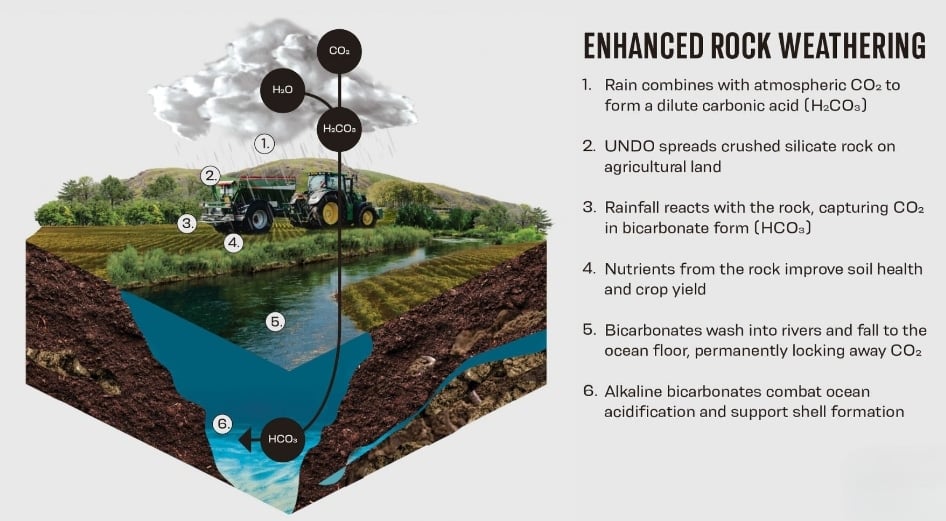 Microsoft and UNDO Partner for 15,000 Tons of Carbon Removal Using ... Microsoft and UNDO Partner for 15,000 Tons of Carbon Removal Using ...