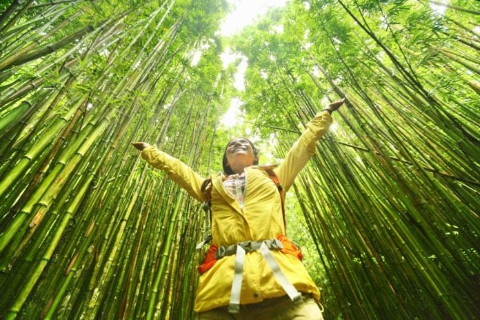 KlimaDAO JAPAN Launches Blockchain-Powered Carbon Credits Market ...