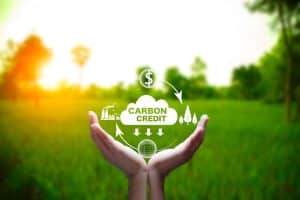 How Carbon Credit Projects Contribute To Sustainability and Profitability