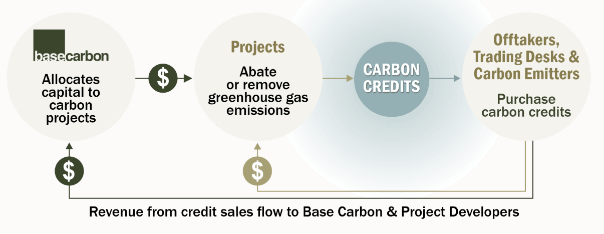 Base Carbon: A Rising Force in the Voluntary Carbon Market • Carbon Credits