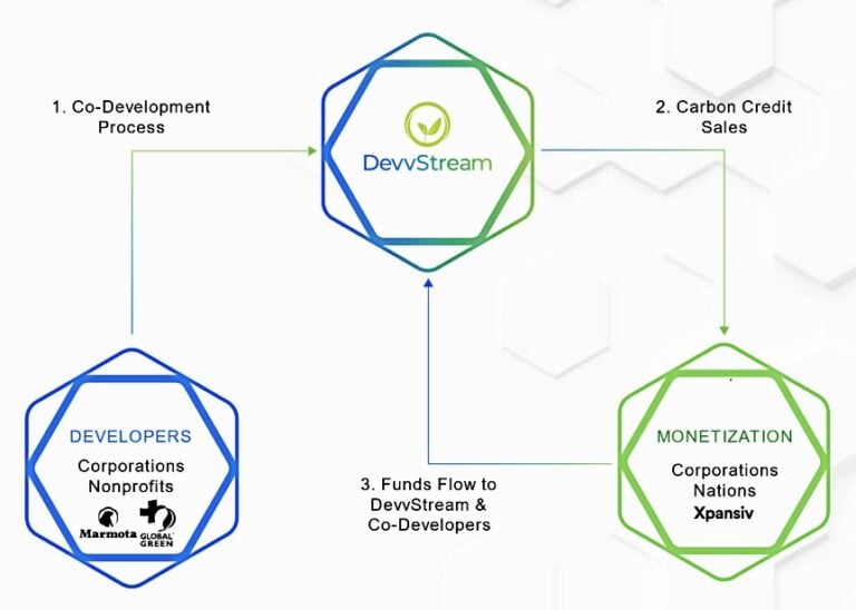 DevvStream and UAE Platform's Alliance Targets $100M Carbon Investment ...