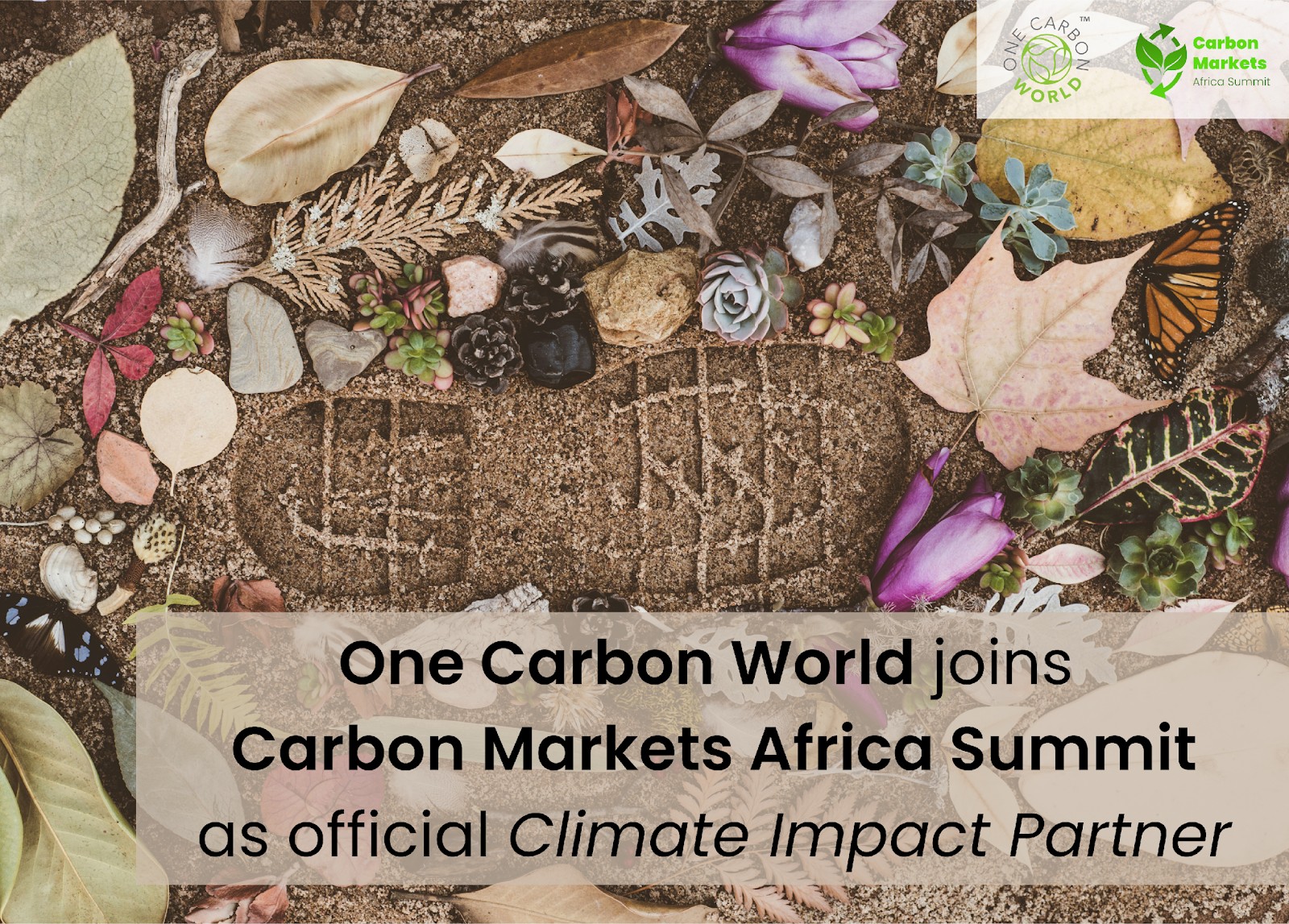 One Carbon World joins Carbon Markets Africa Summit as Official Climate ...