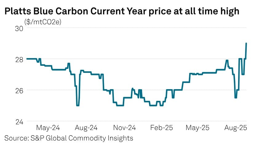 Blue Carbon Credits Hit Record High as Demand Outpaces Supply • Carbon Credits
