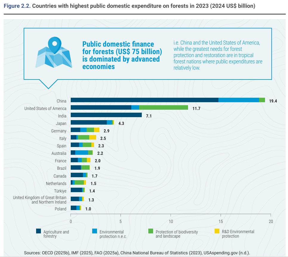 Forest Finance Hits Record Growth in 2025: Investment Doubles for ...