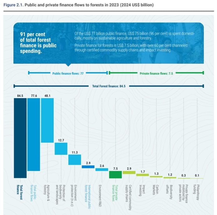 Forest Finance Hits Record Growth in 2025: Investment Doubles for ...