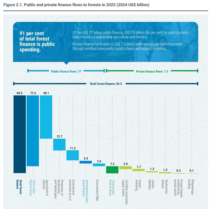 Forest Finance Hits Record Growth in 2025: Investment Doubles for ...