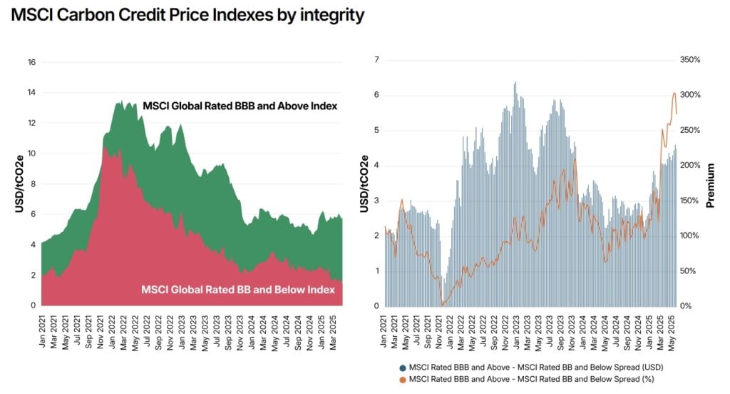 Carbon Credit Prices Hit New 2025 Highs: 7 Safe Platforms Every Buyer ...