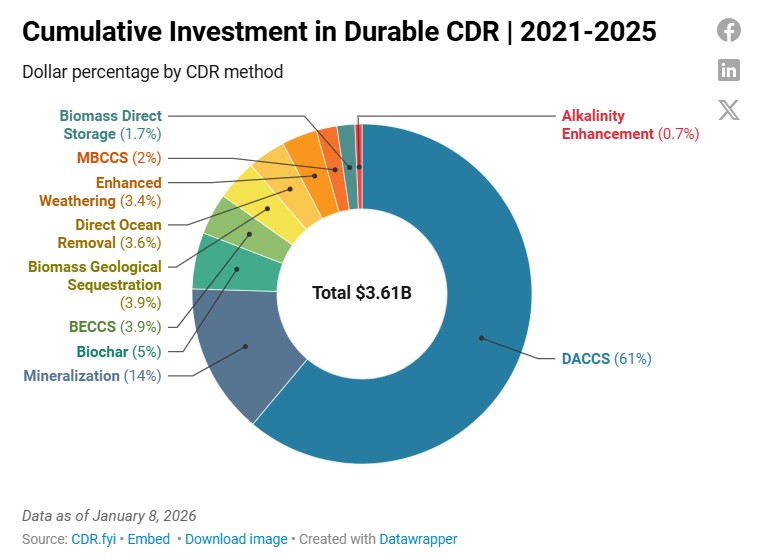 The Carbon Credit Market in 2025 is A Turning Point: What Comes Next ...