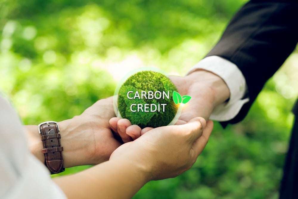 DevvStream and UAE Platform's Alliance Targets $100M Carbon Investment ...