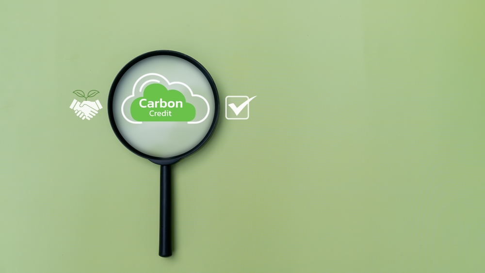 ICVCM Adds New CCP-Approved Carbon Credit Methods for Isometric, Gold ...