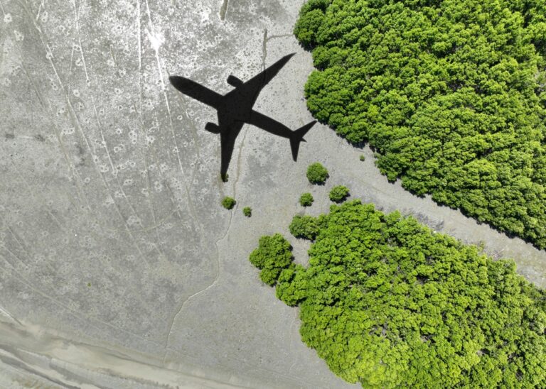 IATA’s New Carbon Credit Alliance: Can Aviation Secure Enough Offsets ...